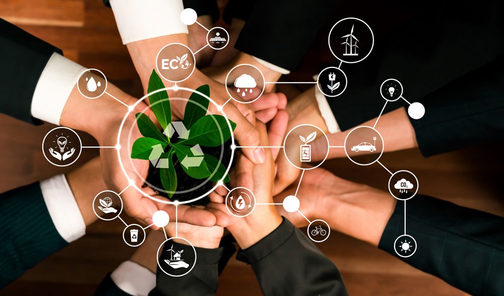 Our Services | Build to Sustain - ESG & Sustainability Solutions
